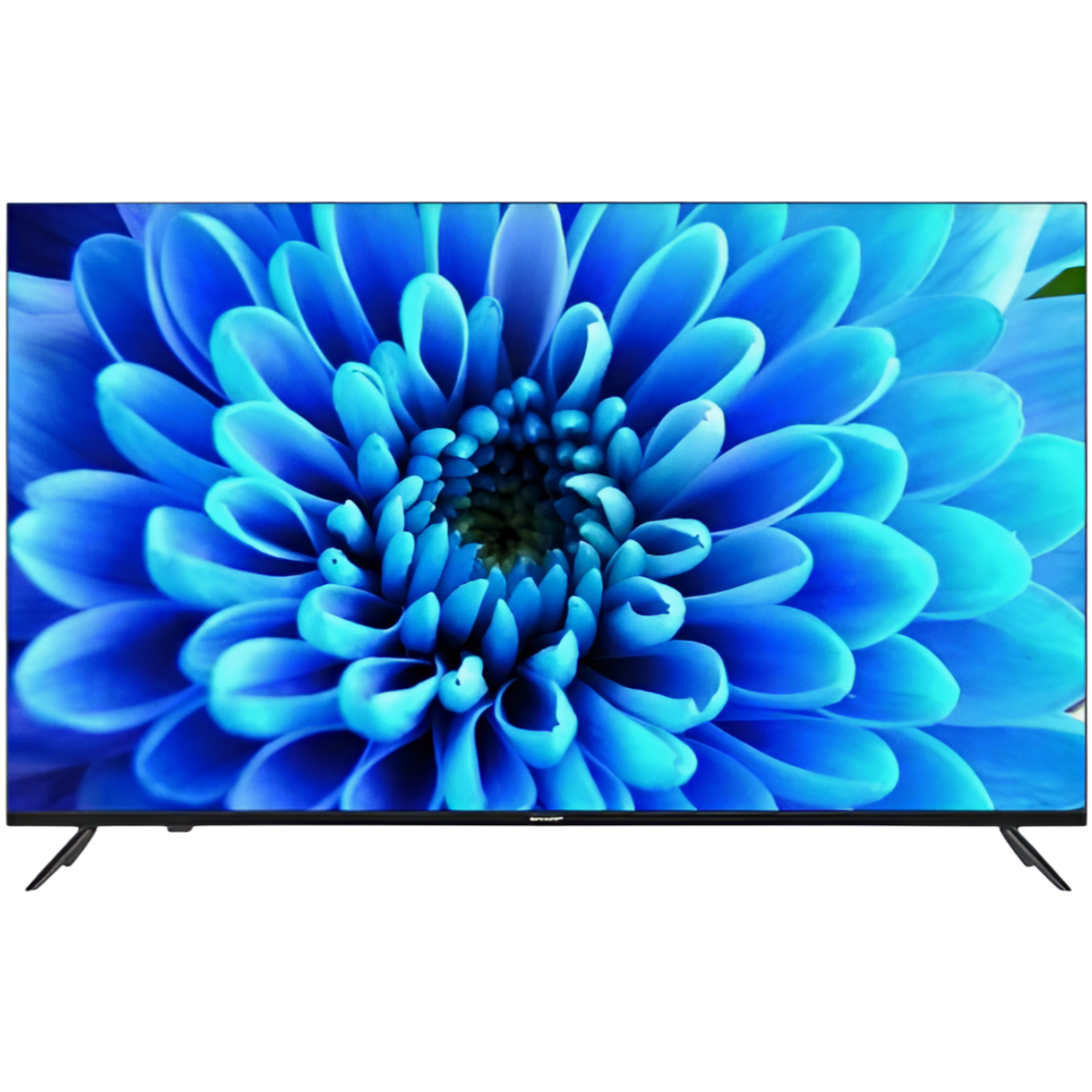 Sharp TV 75 Inch 4K Android TV - Arbaana
